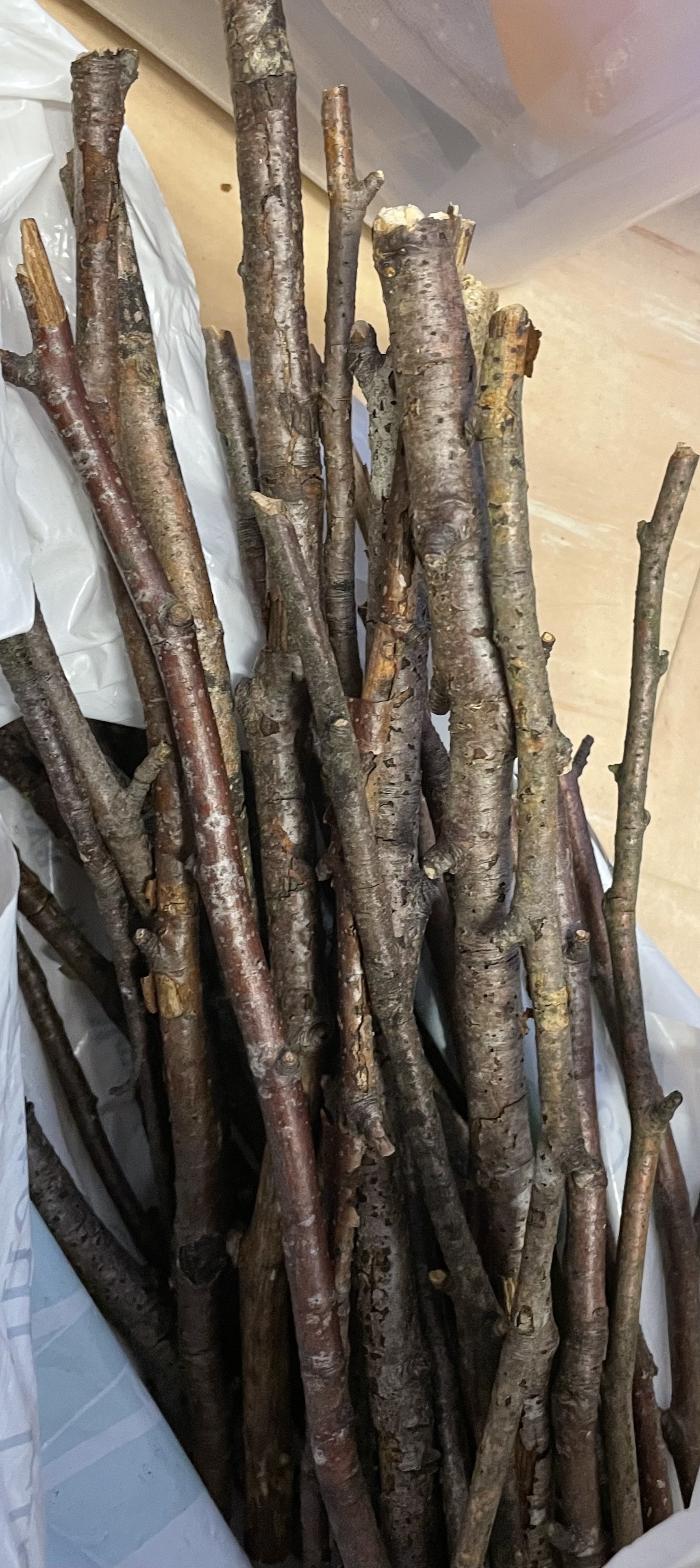 Dans ma boîte à problèmes, savez-vous quoi qu’y gnaaaa? – Pierre Carrée